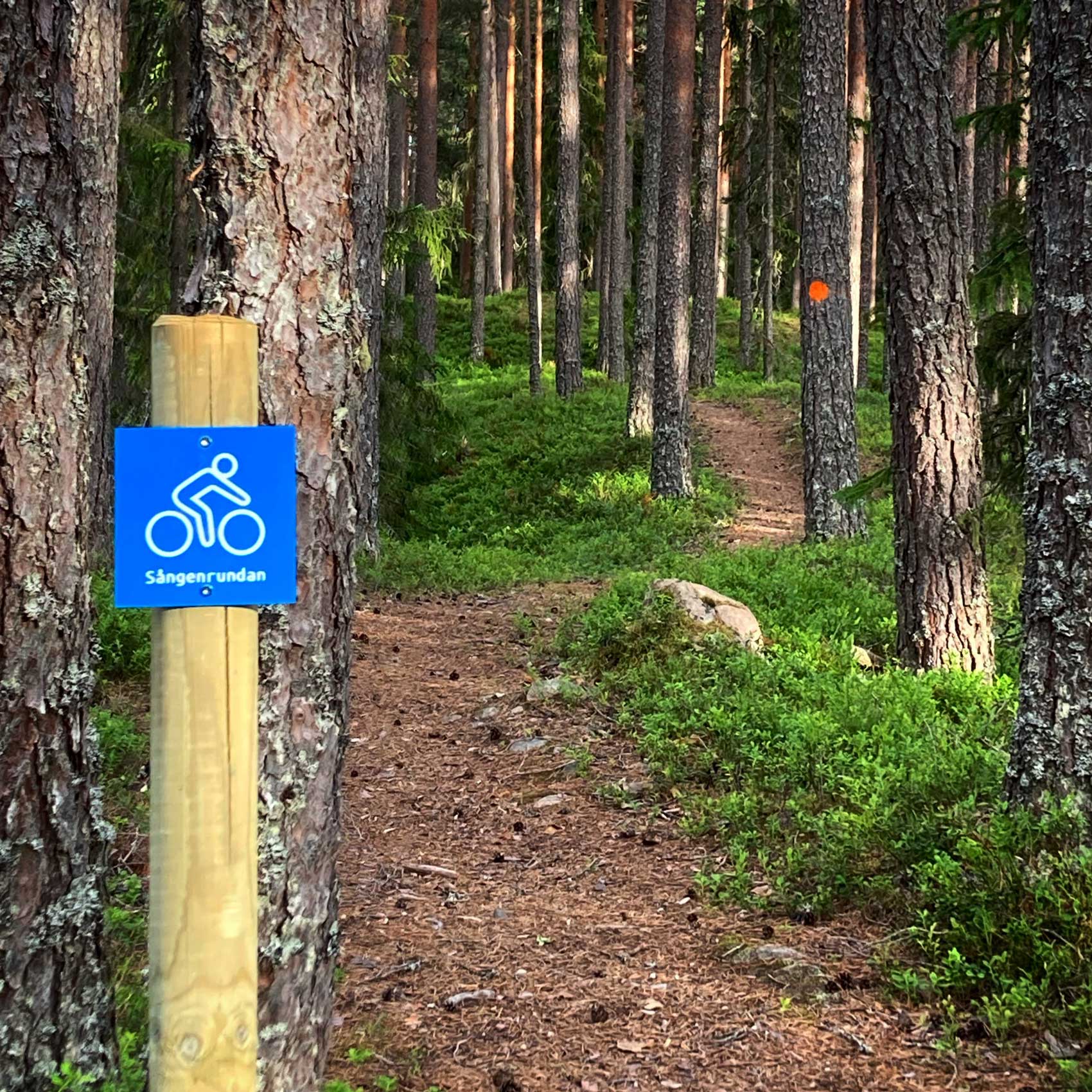 Cykla Sångenrundan i Dala-Floda | Leksands Sparbank